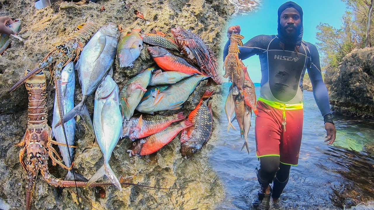 I Shot A Big String Of Fish Today Lobster, Jacks, Lion Fish And More # ...