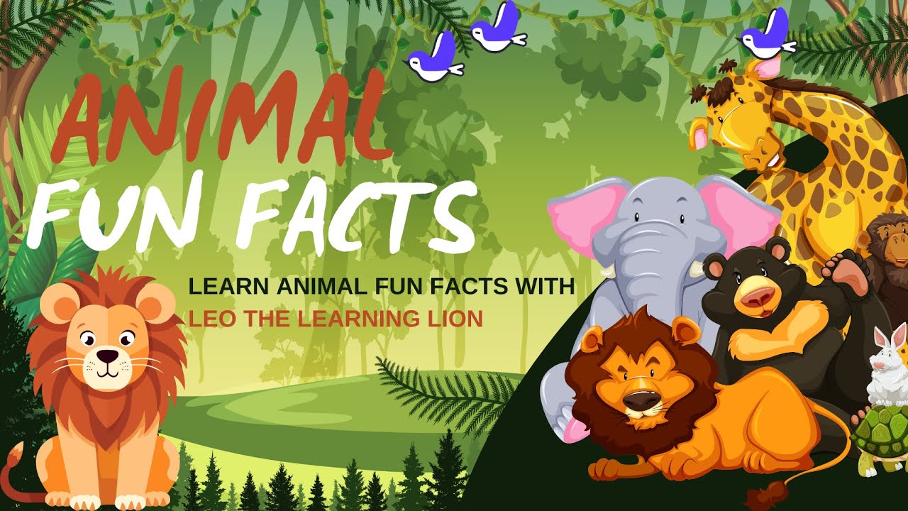 ANIMAL FUN FACTS WITH LEO THE LEARNING LION - PART 1 - YouTube