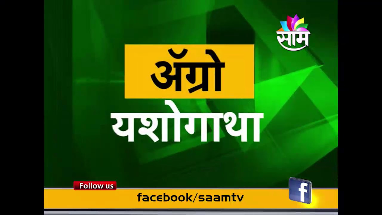 #Agrowon : Sugarcane farming success story of Digambar Chavan - YouTube