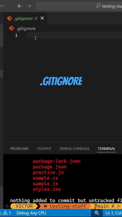 Why Your Project Needs a ".gitignore" File - YouTube