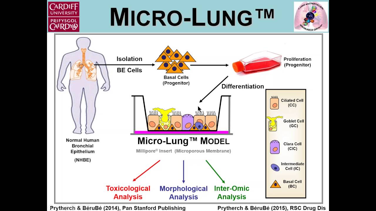 Acute Inhalation Toxicity Webinar 6 - YouTube