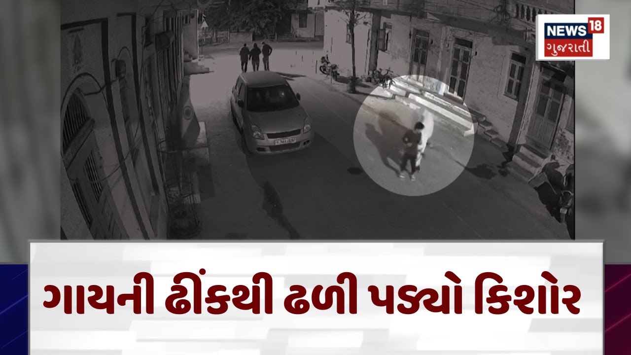 Mehsana News : ગાયની ઢીંકથી ઢળી પડ્યો કિશોર | Straycattle | CCTV Camera ...