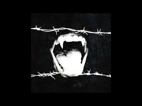[SOLD] Maneskin x Alt Rock Type Beat - “Razor Teeth”