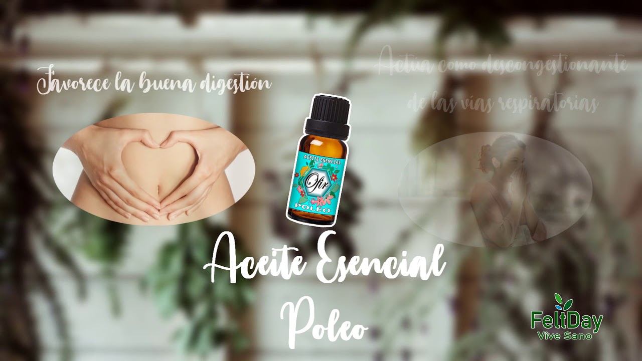 USOS Y PROPIEDADES DEL ACEITE ESENCIAL POLEO | 100% ORGÁNICO - YouTube