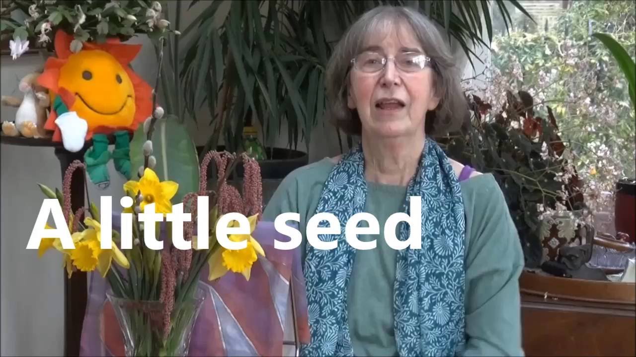 A little seed - YouTube
