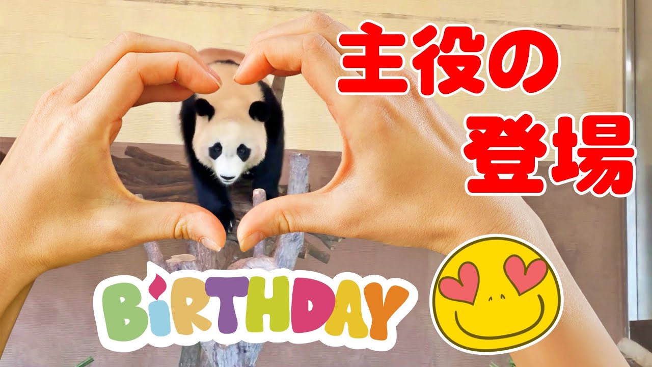 パンダふうひん😍2歳のお誕生日おめでとうございます🎉🎊🎁🎂 Youtube