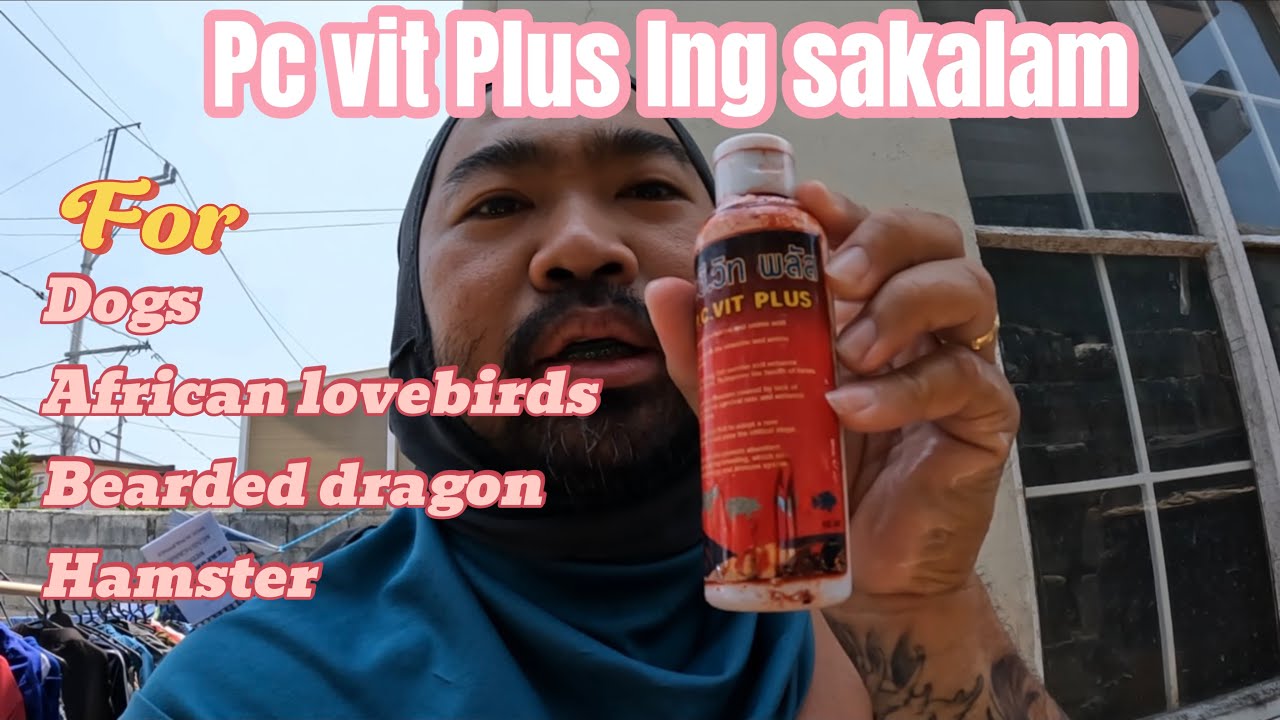 Bilad Serye: Eps 08 - Pc vit Plus lng! - YouTube