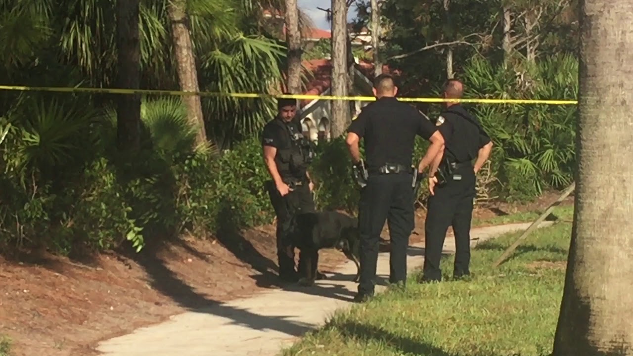 Police dogs searching crime scene near mall - YouTube