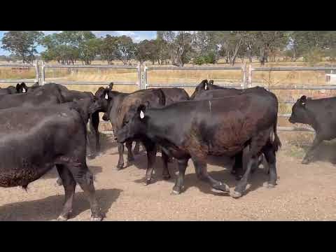 MATONI 28STRS - YouTube