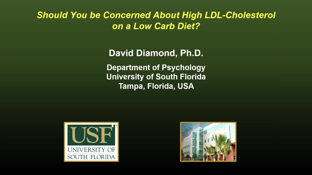 Dr. David Diamond - 'Should You Be Concerned About High LDL-Cholesterol ...