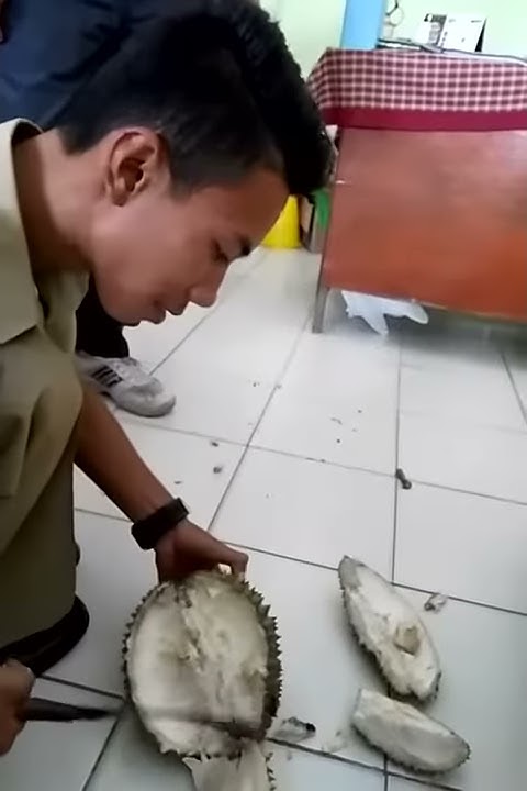 Tutorial membuka durian - YouTube