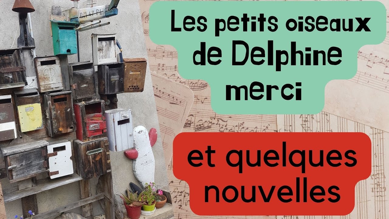 Les oiseaux de Delphine 💗🦜 et je vous donne de mes nouvelles - YouTube