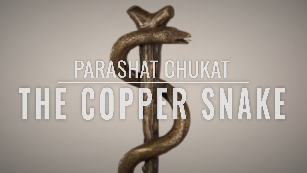 Parashat Chukat 5782: The Copper Snake - YouTube