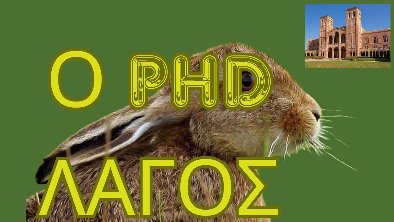 Ο PhD ΛΑΓΟΣ ! - ΠΝΕΥΜΑΤΙΚΗ ΓΥΜΝΑΣΤΙΚΗ #phd #university #rabbit - YouTube