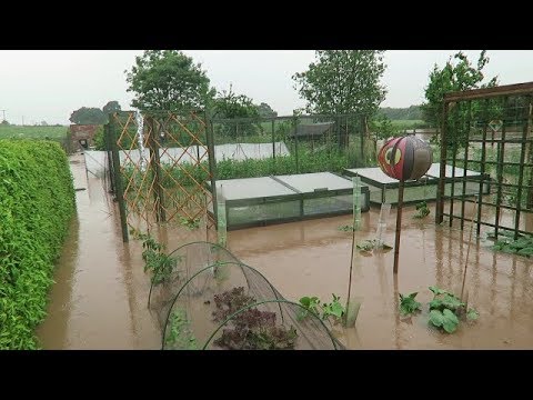Flash Flood.. Vegetable Garden Under Water. - YouTube