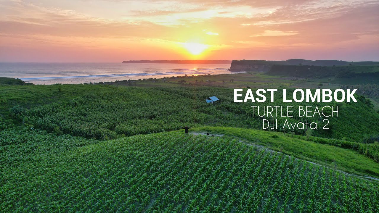 TURTLE BEACH (PANTAI KURA-KURA) - EAST LOMBOK, INDONESIA - YouTube