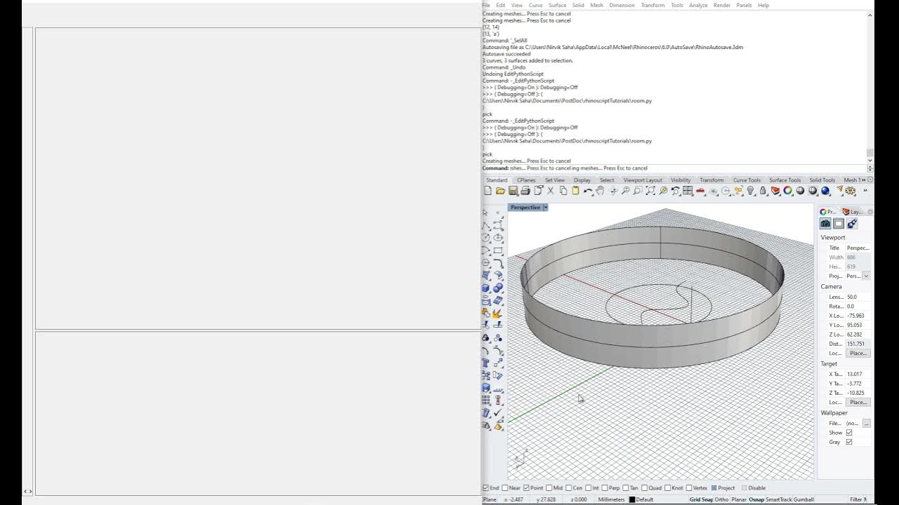5. Learn Rhinoscript Python - basics - YouTube