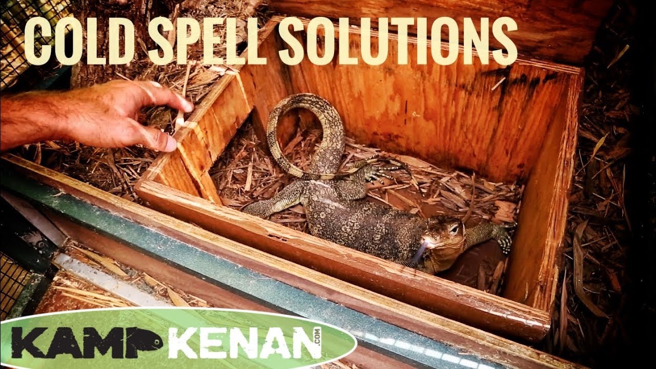 This is How I HEAT the ANIMALS! - YouTube