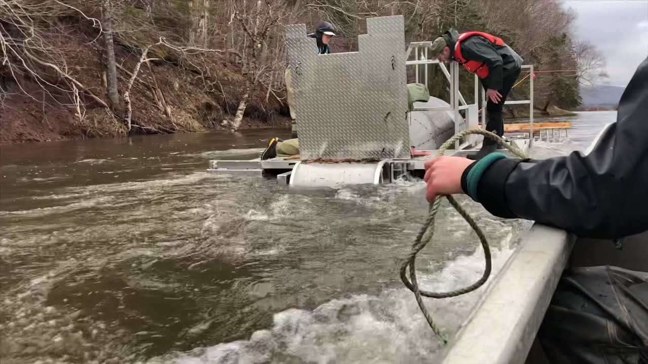 View of the Smolt Wheel on the Margaree River - YouTube