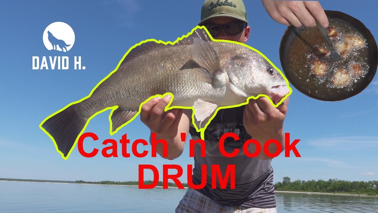 Catch 'n Cook: DRUM!!! - YouTube