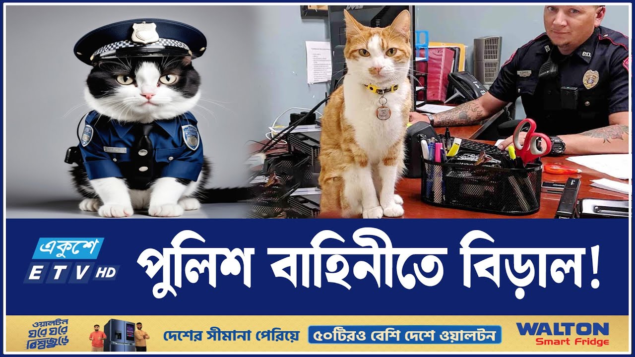 পুলিশ বাহিনীতে বিড়াল! | Chilean Police Force | Police Cat | Ekushey TV ...