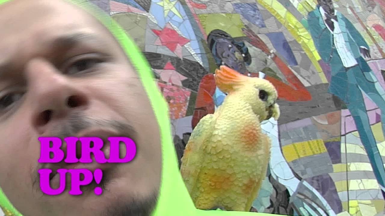 Main Theme - Bird Up! - YouTube