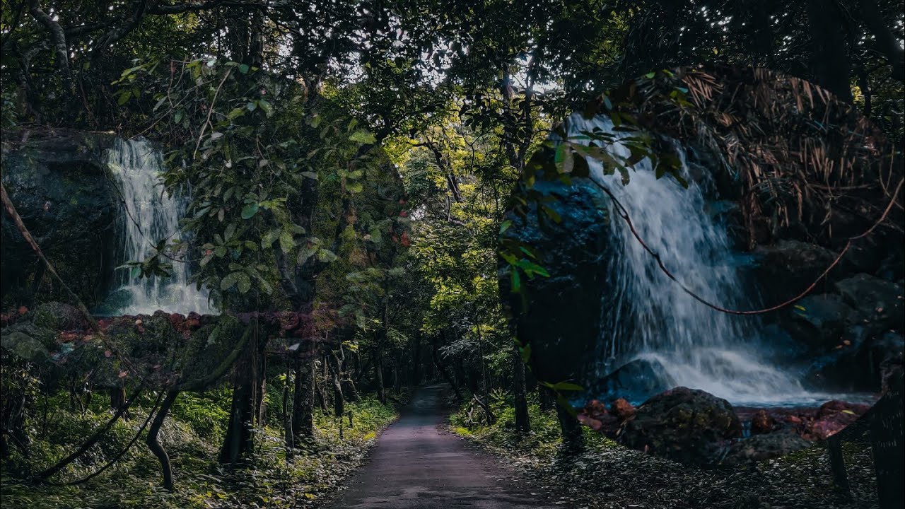 Bedoor forest 🌿| bedoor waterfal💦 Kamballur , cherupuzha - YouTube