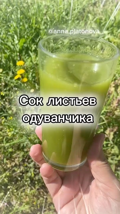 Сок одуванчика, читай описание🔼 #рецепты #полезно #травянойсбор - YouTube
