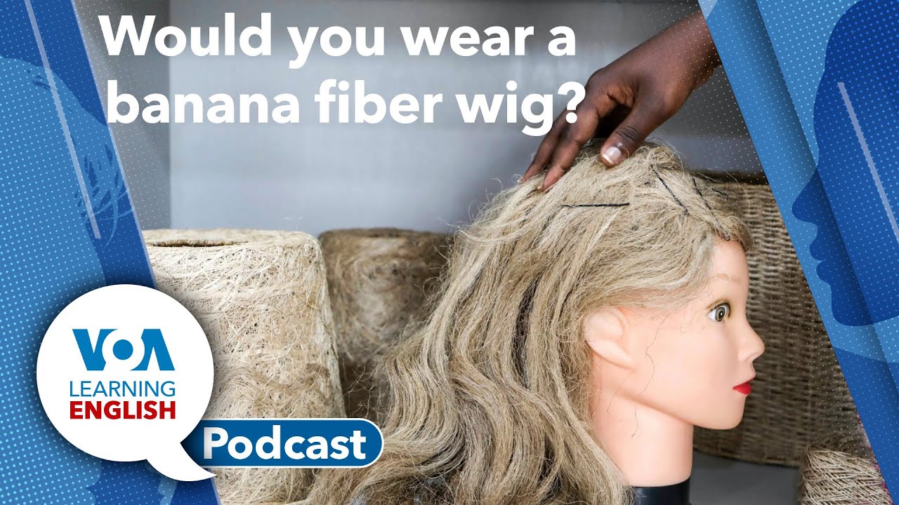 Learning English Podcast - Banana wigs, pumpkin spice, leaf peeping ...