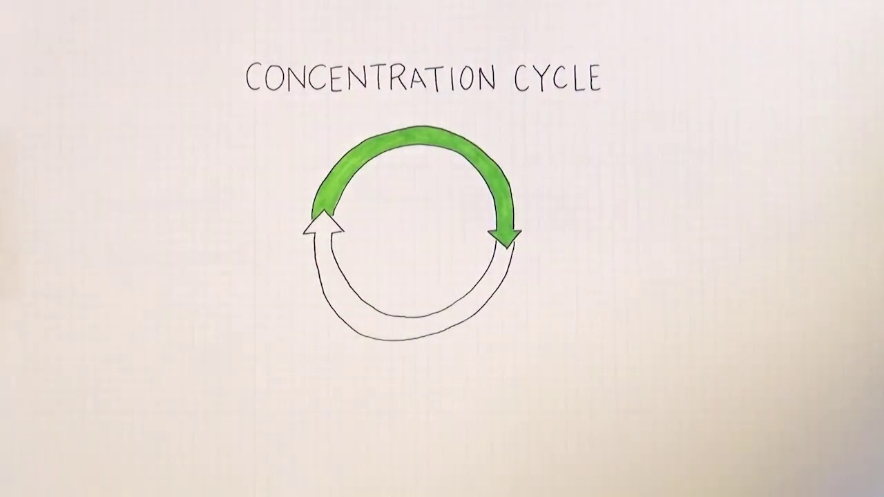 Concentration Cycle - YouTube