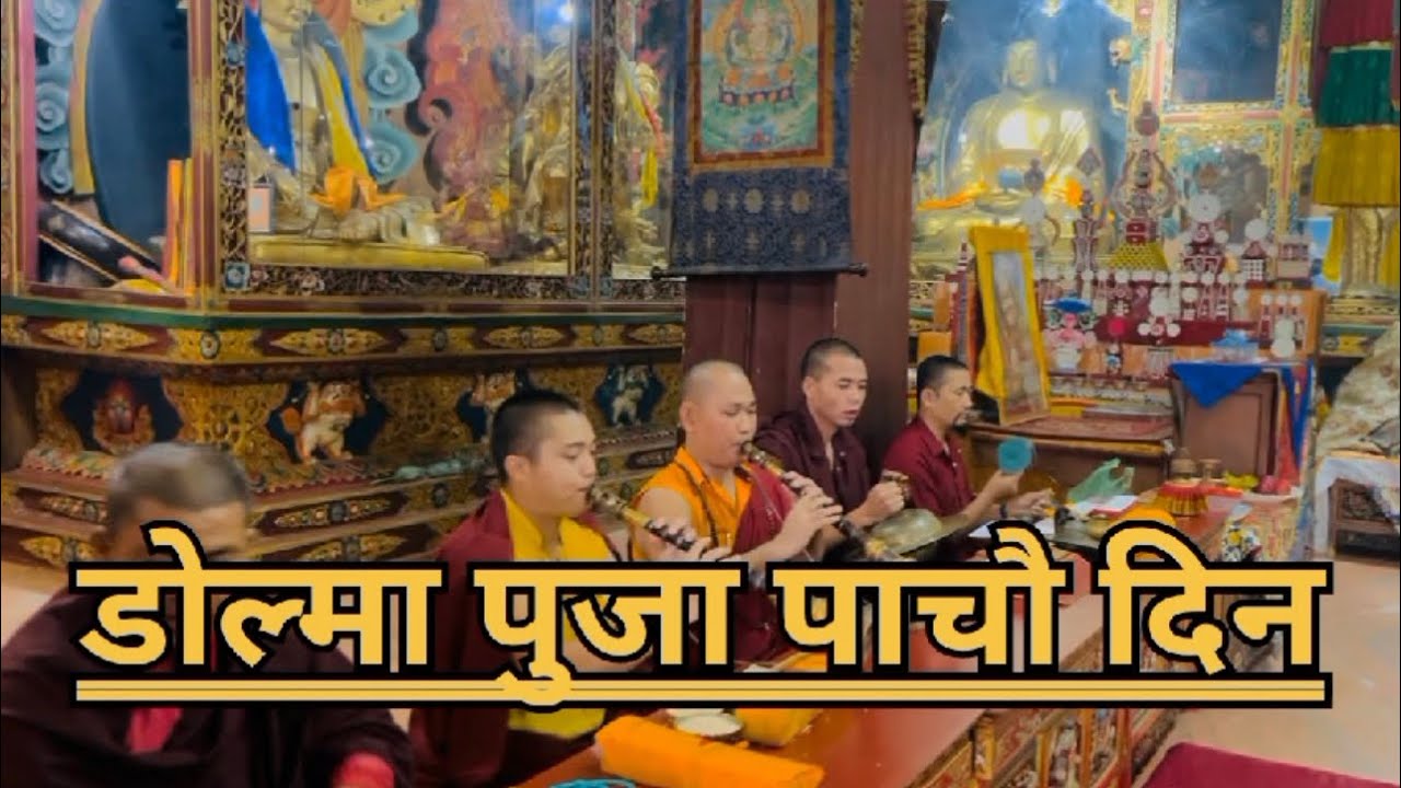 साङ सेरग्याम र पाचौ दिन को डोल्मा पुजा pema lama official - YouTube