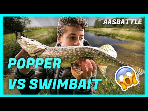 POPPER VS SWIMBAIT!!
