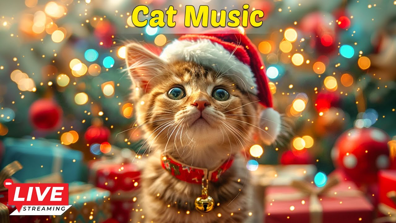 Ultimate Christmas Cat Piano Music Collection 🎄 Cat Stress Relief Music ...