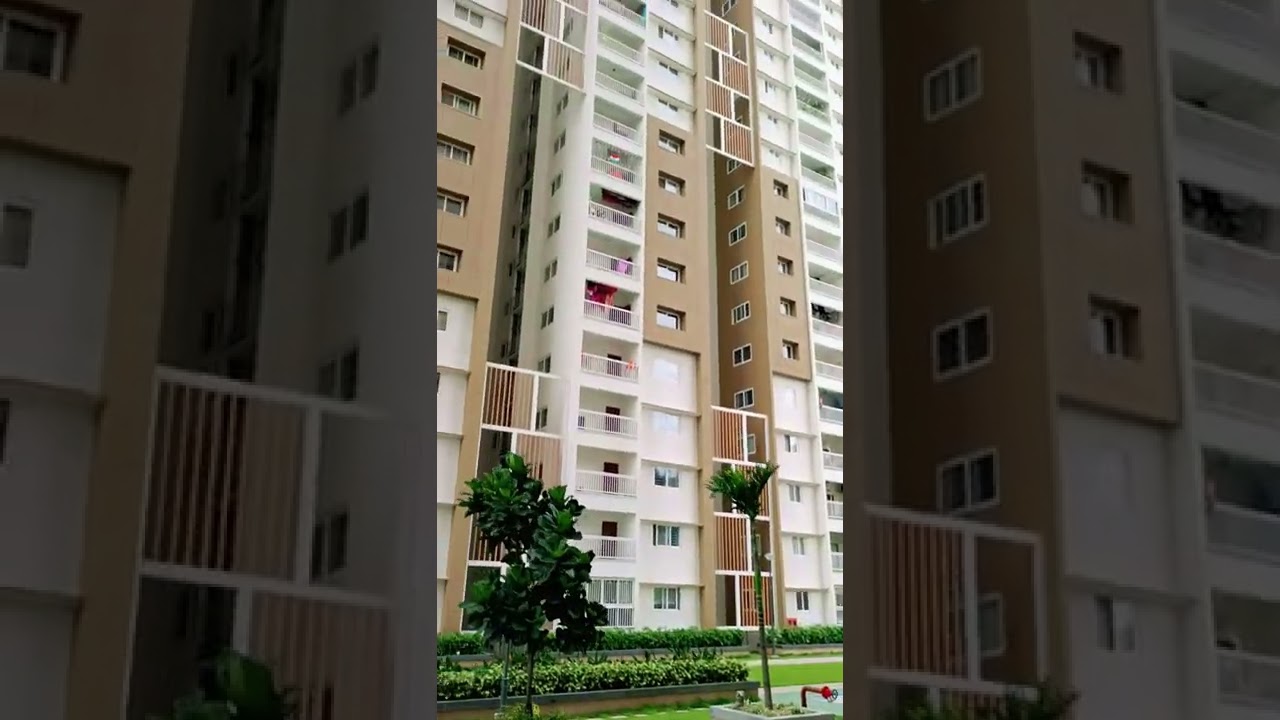 My home Avatar - YouTube