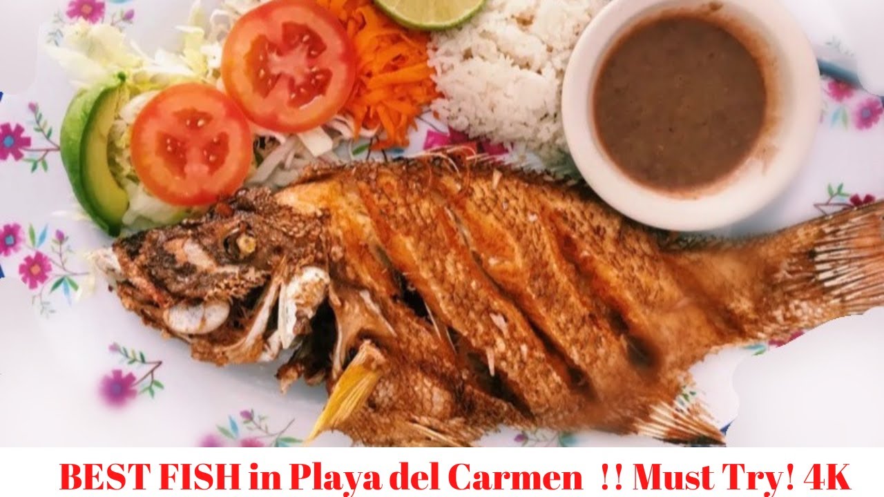 Did we just discover the BEST fish in Playa del Carmen Mexico? 🇲🇽4k ...