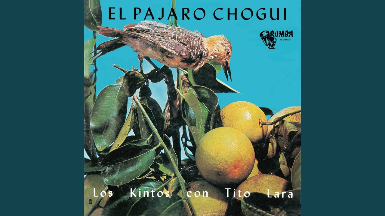 El Pájaro Chogui - YouTube