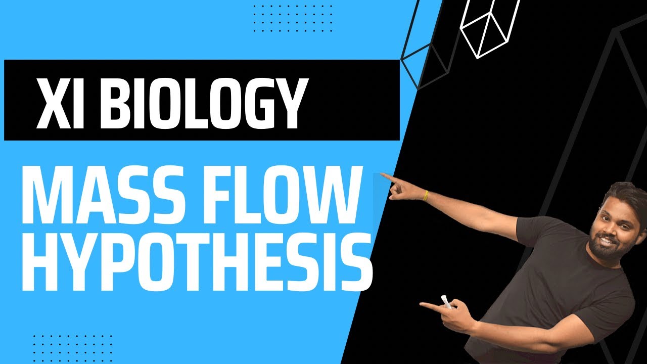 Mass flow hypothesis | Plant physiology | NEET - YouTube