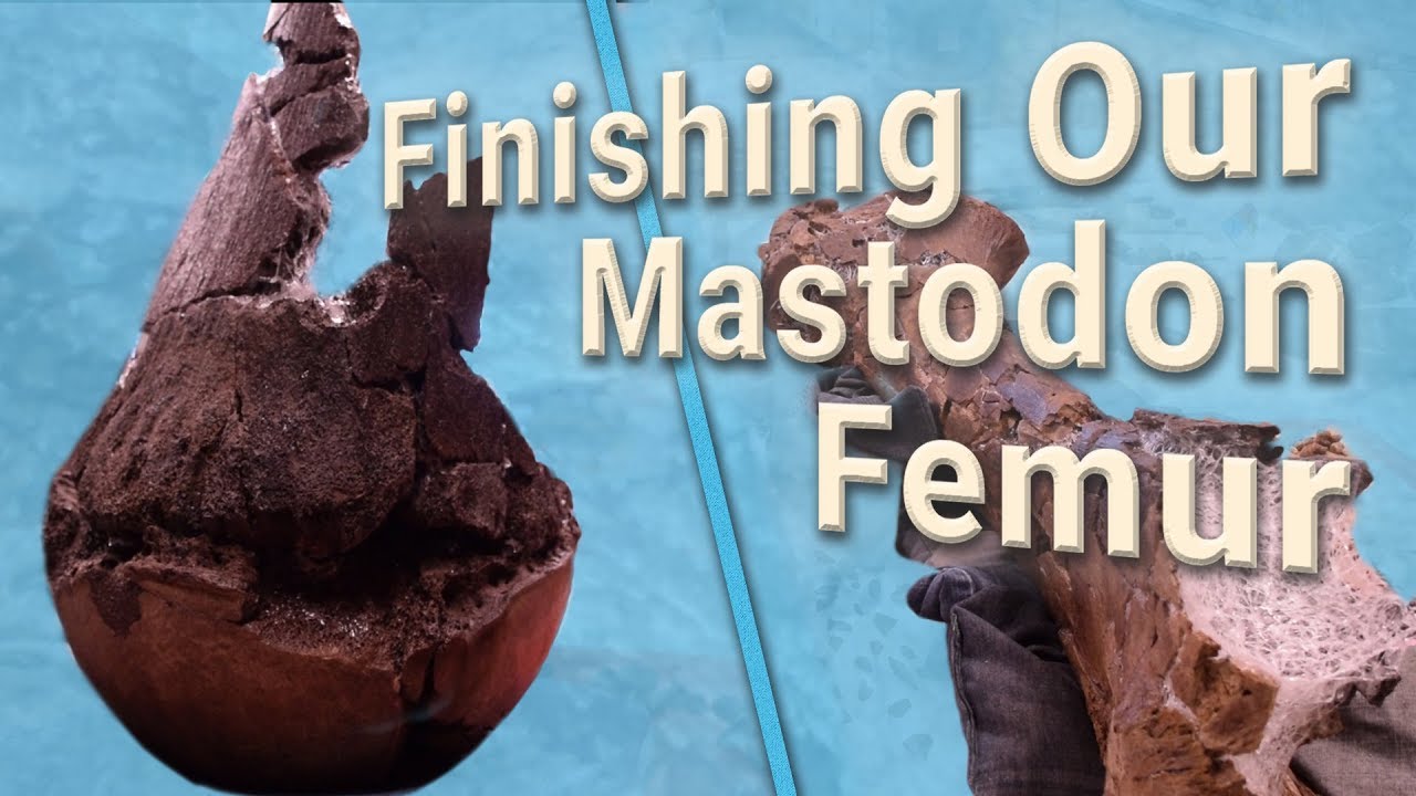 Capping Our Mastodon Femur - YouTube
