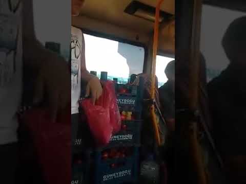 biberci dayı patlatmiş bı kurtce havayı