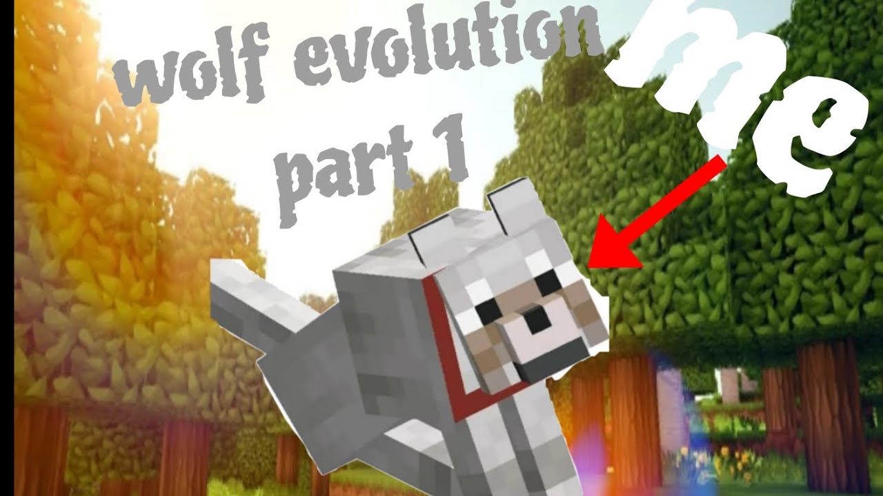 part 1 of Minecraft wolf evolution - YouTube