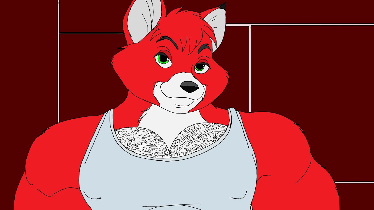 Best Of Andrew The Fox 2019 - YouTube