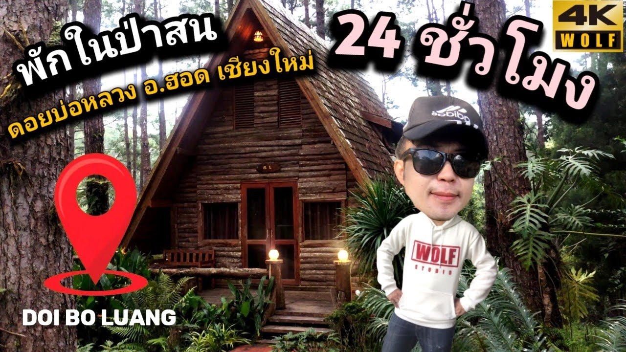 DOI BO LUANG สวนป่าดอยบ่อหลวง พัก 24 ชั่วโมง อ.ฮอด | WOLF STUDIO| VLOG ...
