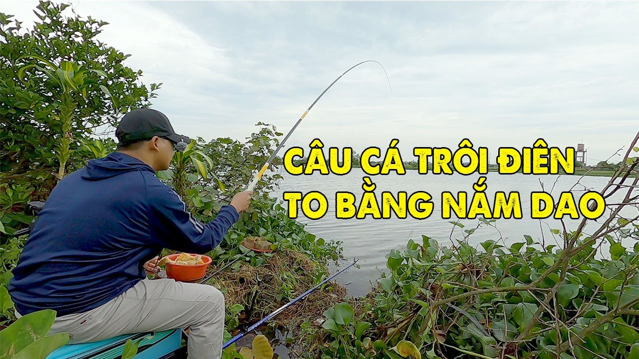Câu Cá TRÔI ĐIÊN- Trải nghiệm điểm Nam Cường - Tiền Hải (MAP 👇 ...