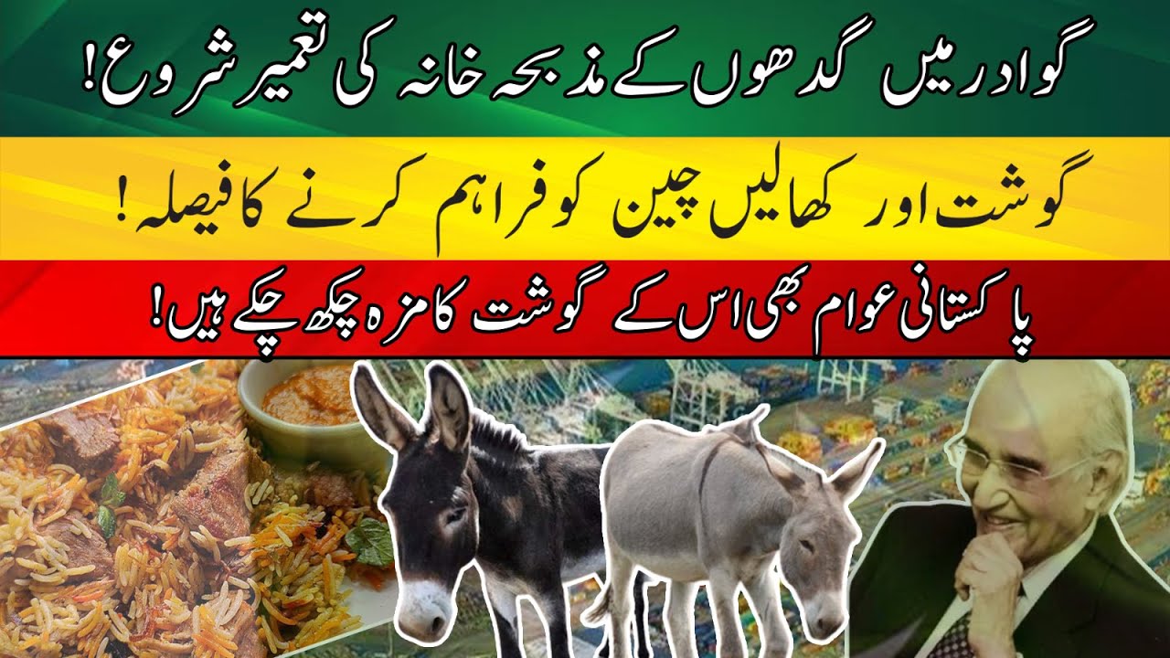 Construction of donkey slaughterhouse in Gwadar started! - YouTube