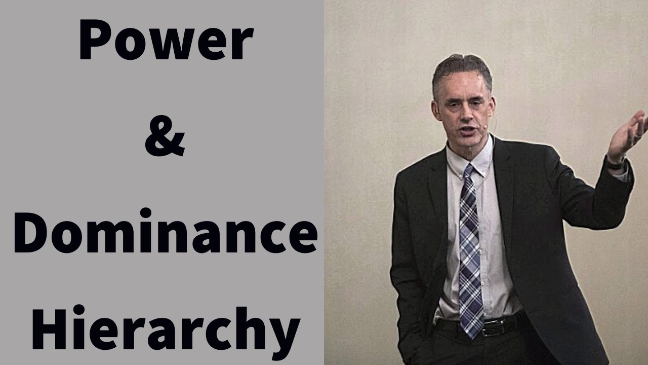 POWER & Dominance Hierarchy | Jordan Peterson - YouTube