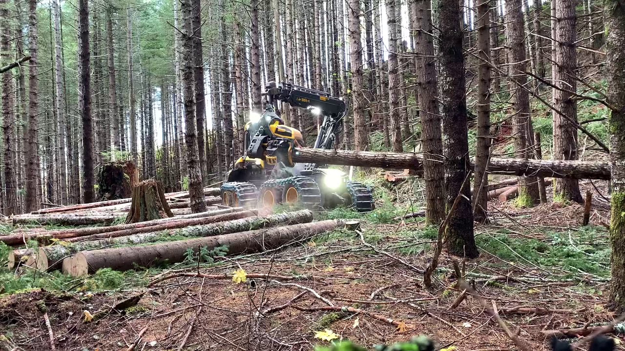 2020 Ponsse Ergo AF C5 H8 - YouTube