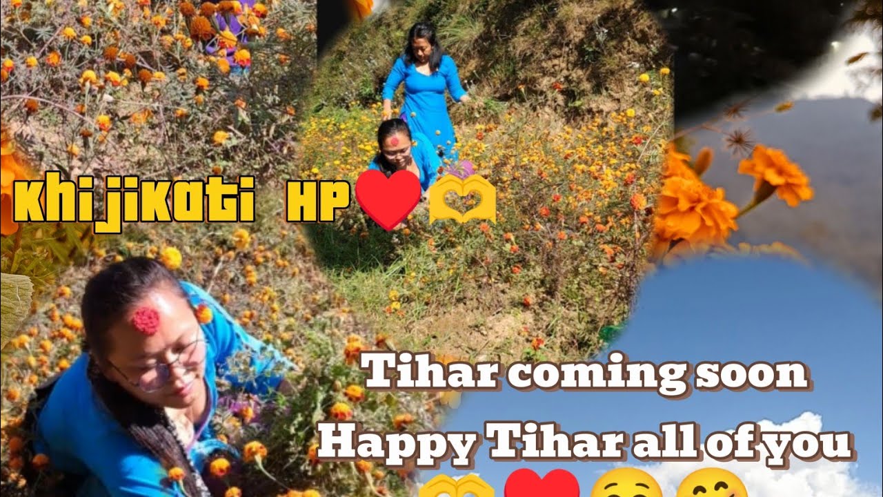 #Happy_Tihar_all_of_you🎉♥️🫶 #Every_flowers_blooms_in_its_own_time # ...