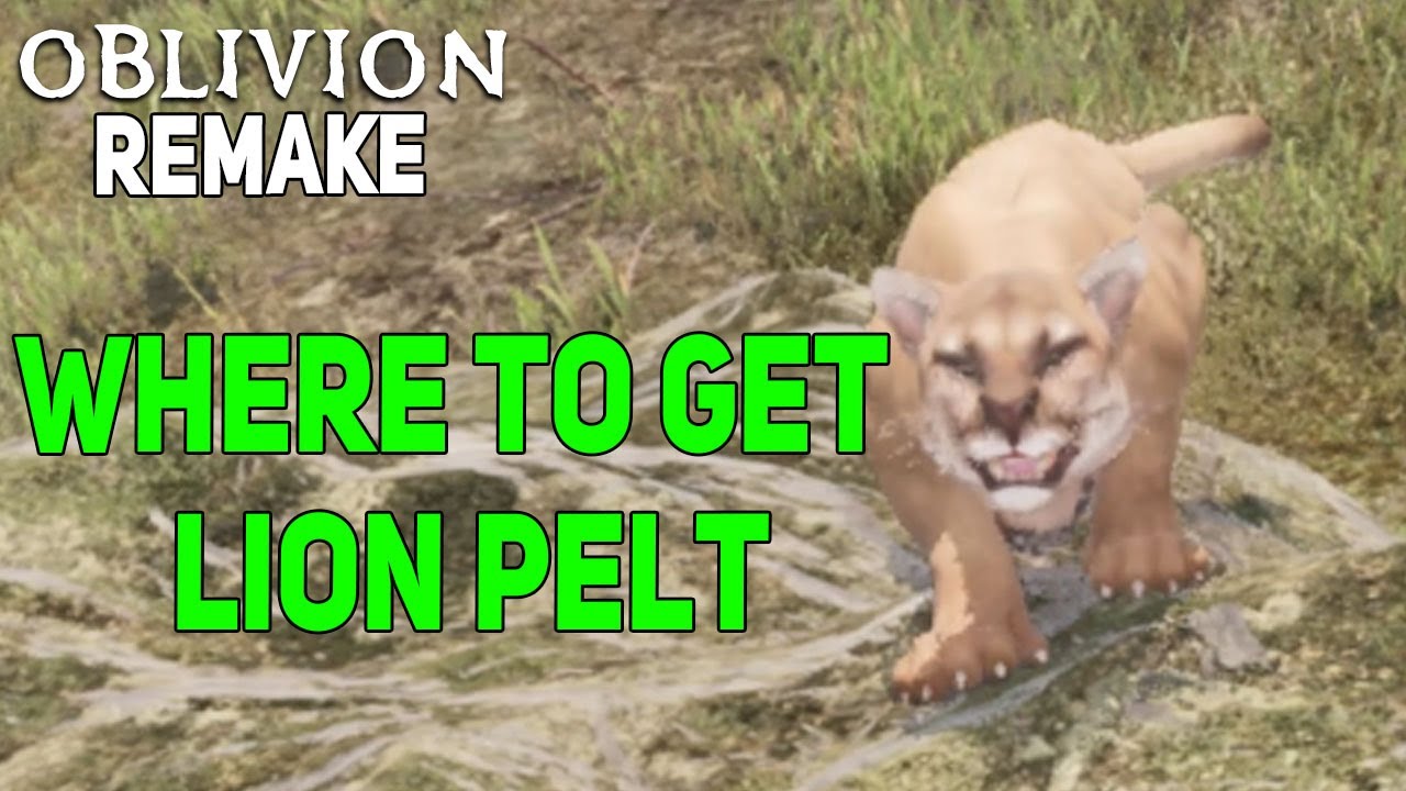 Lion Pelt Location Oblivion Remastered, Where & How To Get Lion Pelt in ...