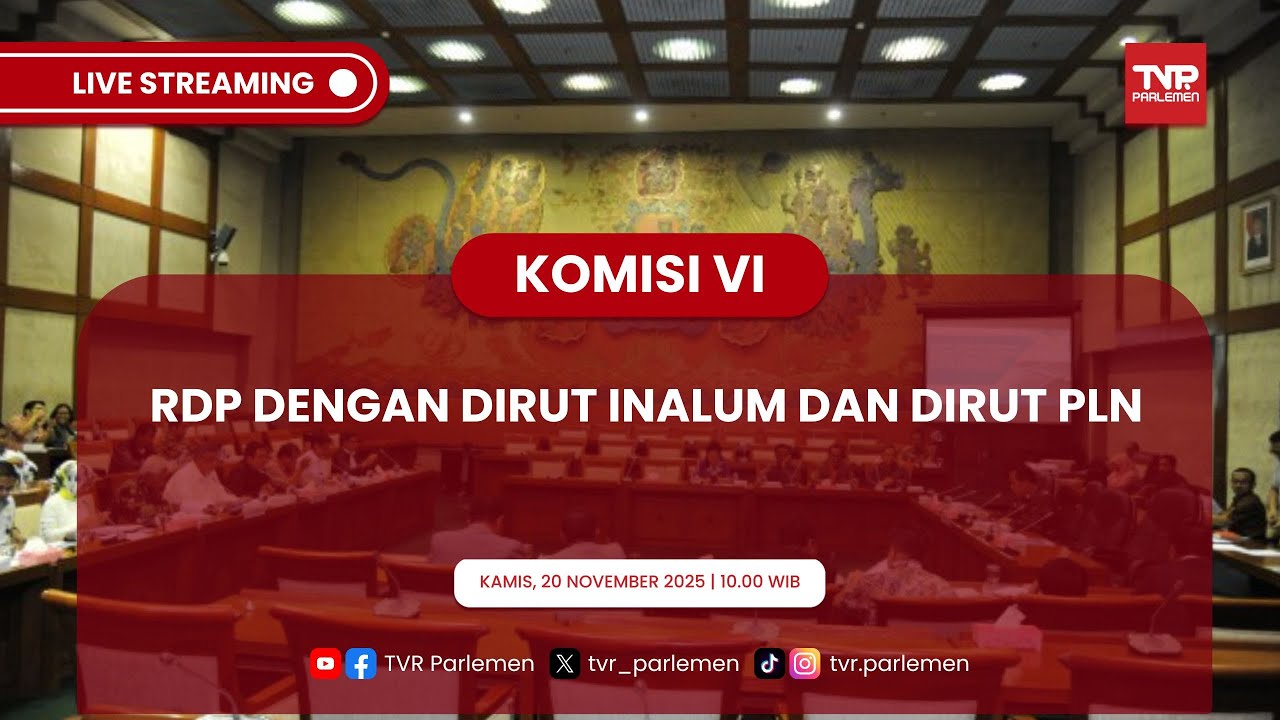 KOMISI VI DPR RI - RDP DENGAN DIRUT INALUM DAN DIRUT PLN - YouTube