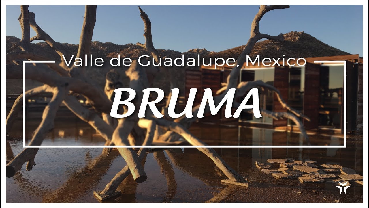 Bruma: Home is where your heart is - YouTube